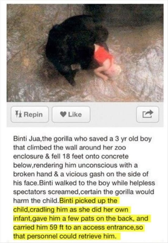 The SBA 7a Program Versus the USDA Business and Industry Loan Program