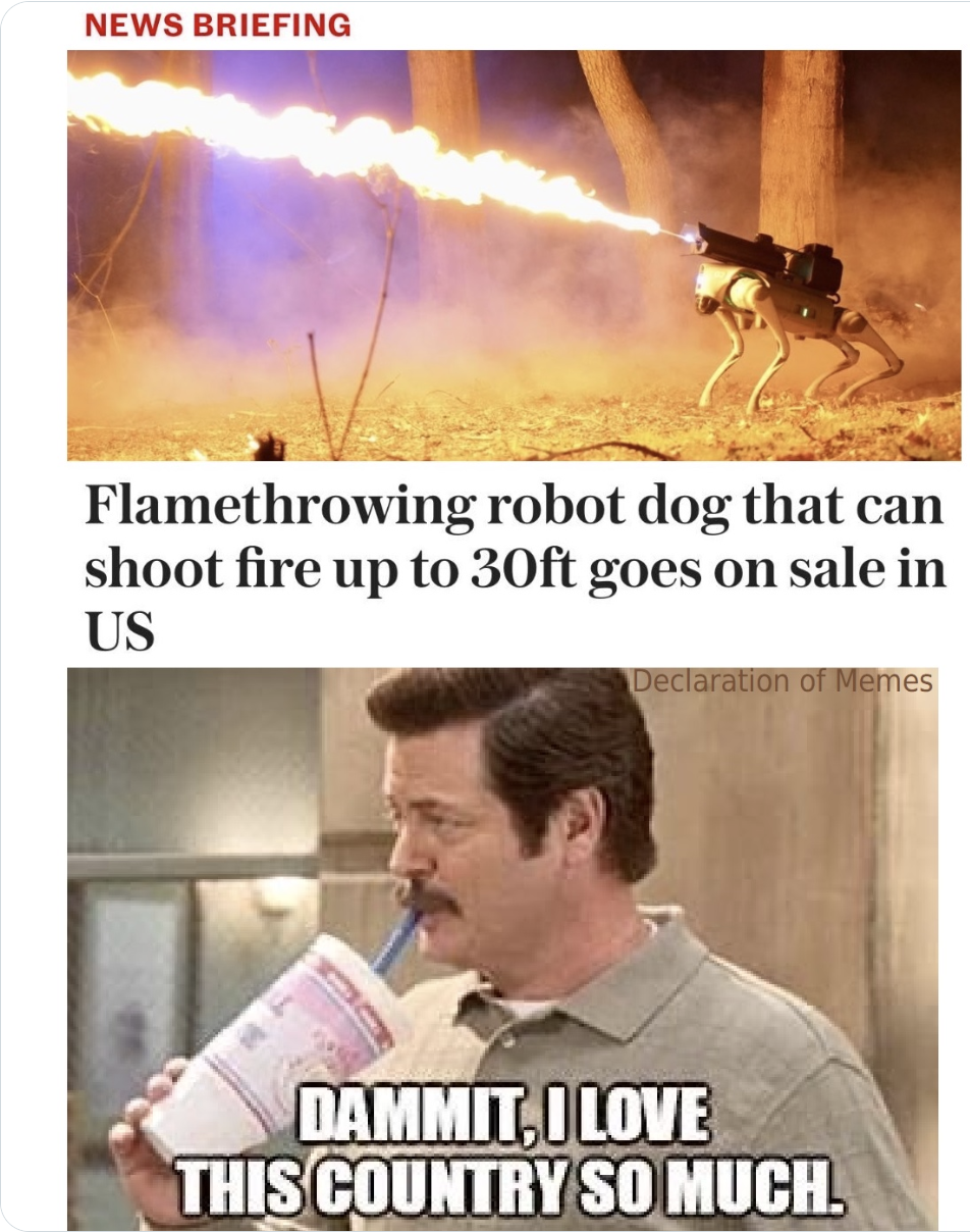 Overrun With Hilarious Memes